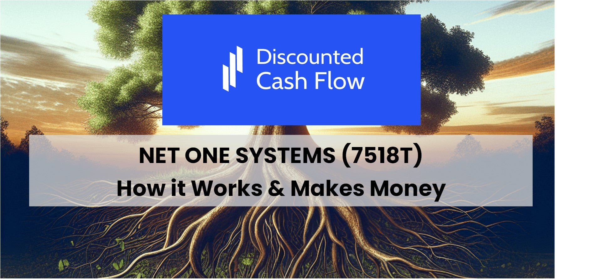 Net One Systems (7518T): history, ownership, mission, how it works ...