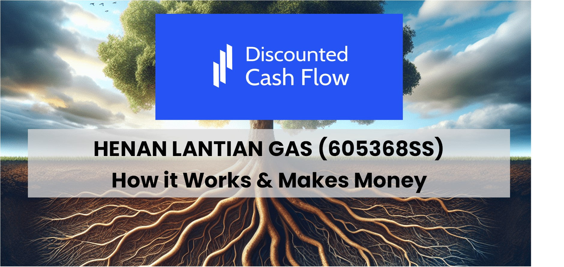 Henan Lantian Gas (605368SS): history, ownership, mission, how it works ...