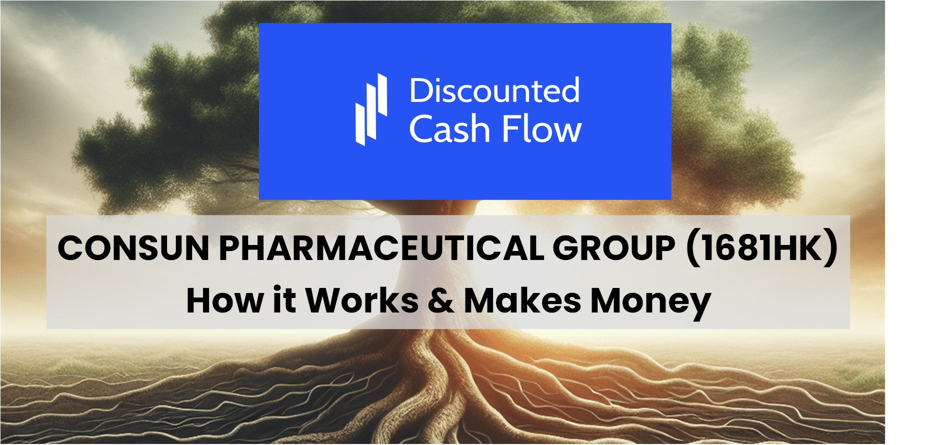 Consun Pharmaceutical Group (1681HK): history, ownership, mission, how ...