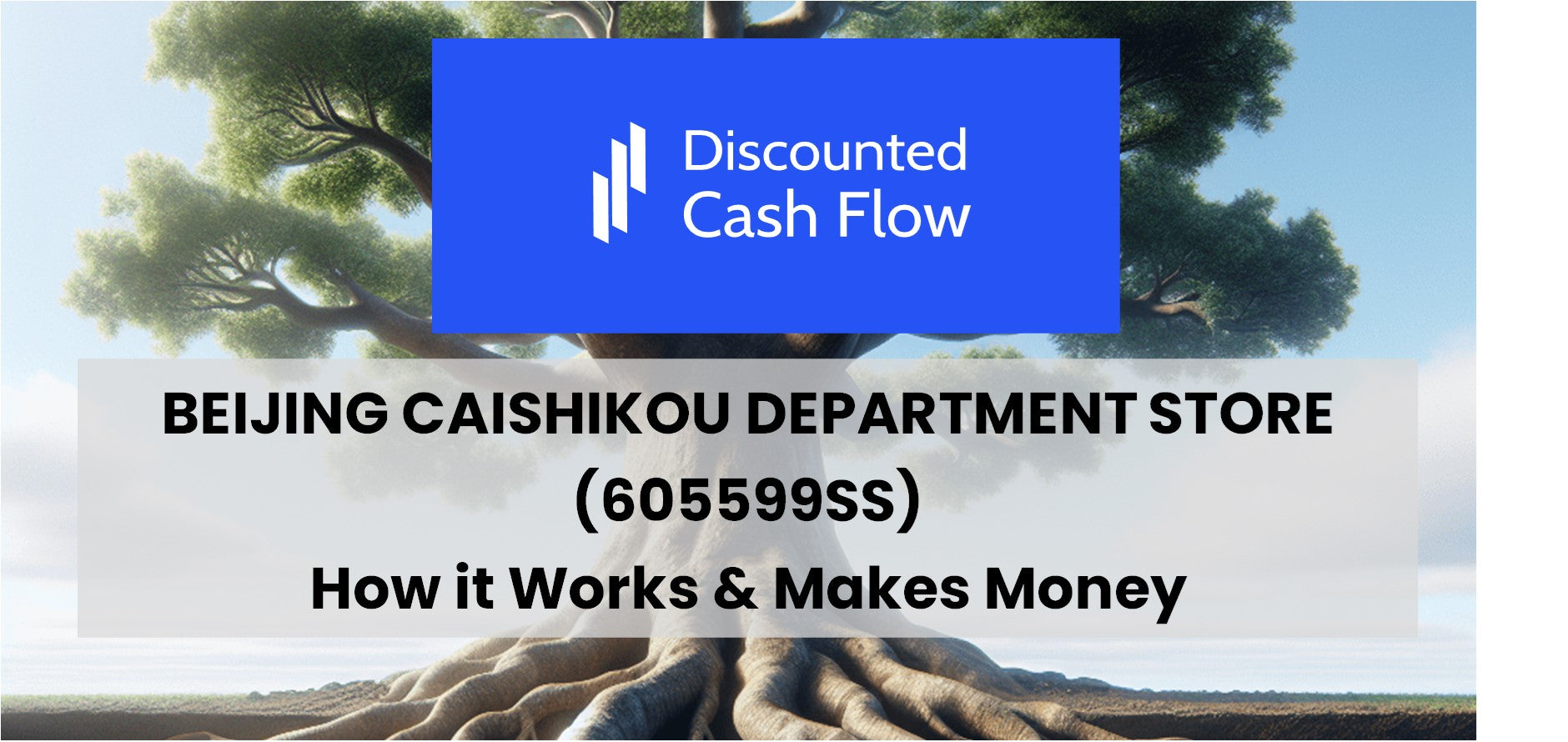 Beijing Caishikou Department Store (605599SS): history, ownership ...