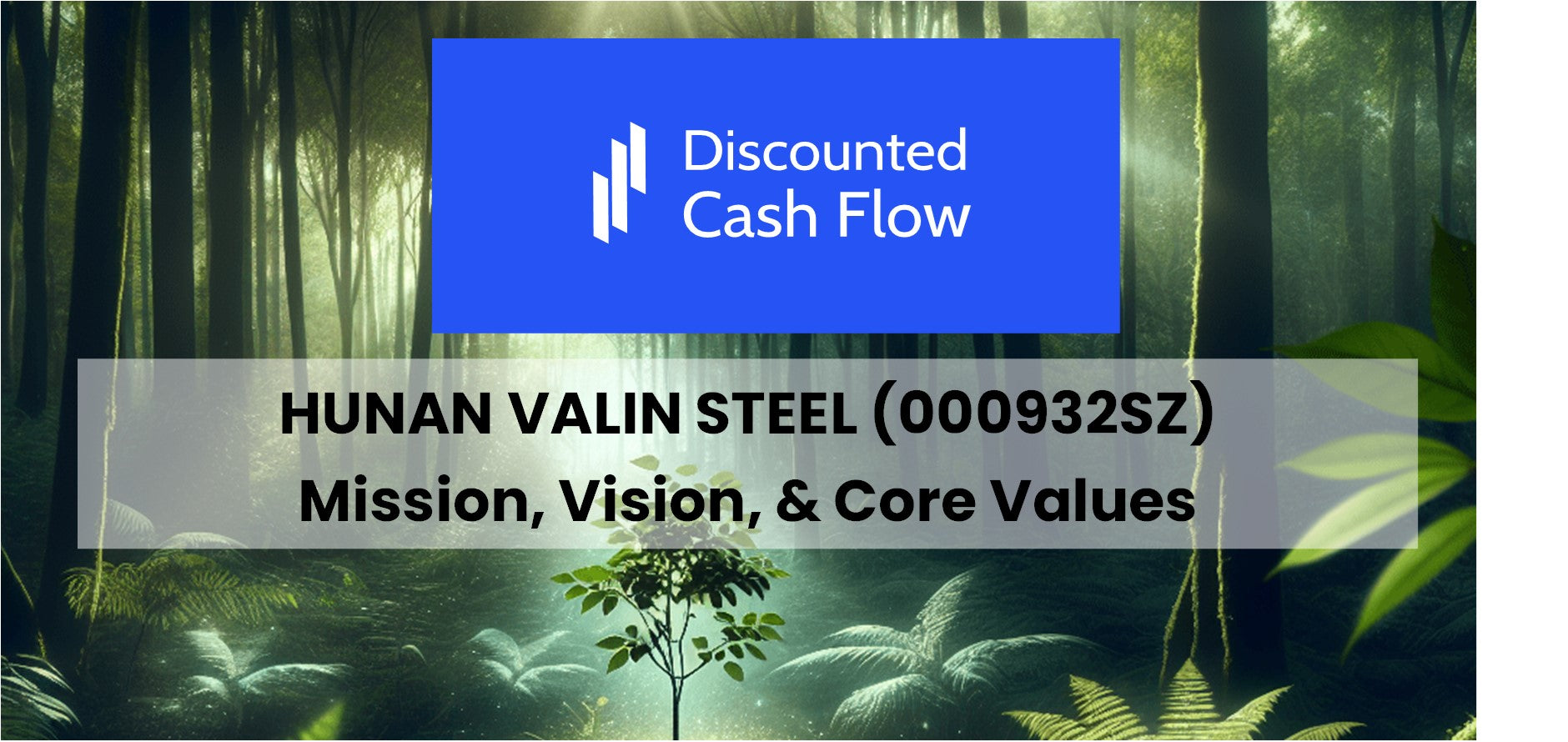 Mission Statement, Vision, & Core Values (2025) of Hunan Valin Steel ...
