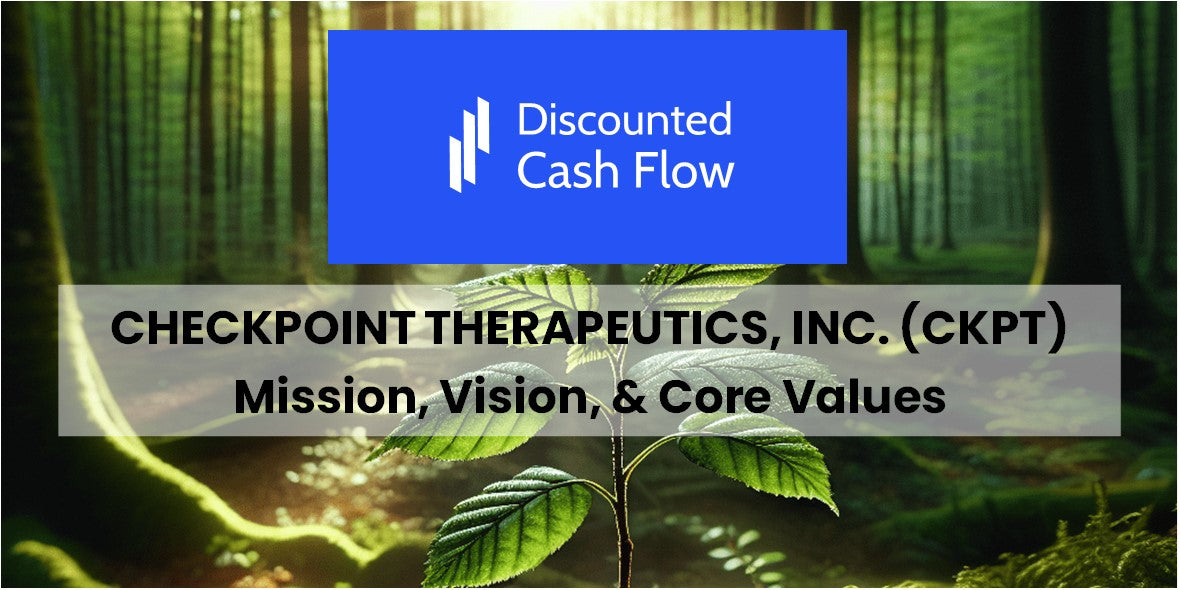 Mission Statement, Vision, & Core Values (2025) of Checkpoint ...