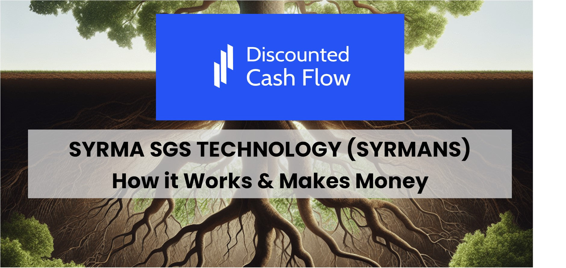 Syrma SGS Technology (SYRMANS): history, ownership, mission, how it ...