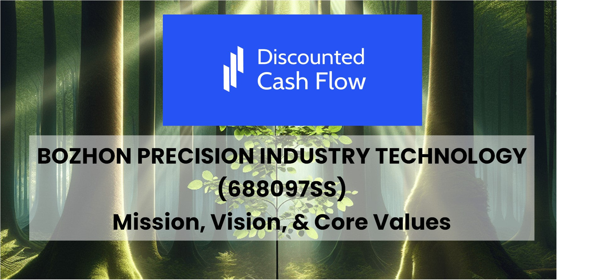 Mission Statement, Vision, & Core Values (2025) of BOZHON Precision ...