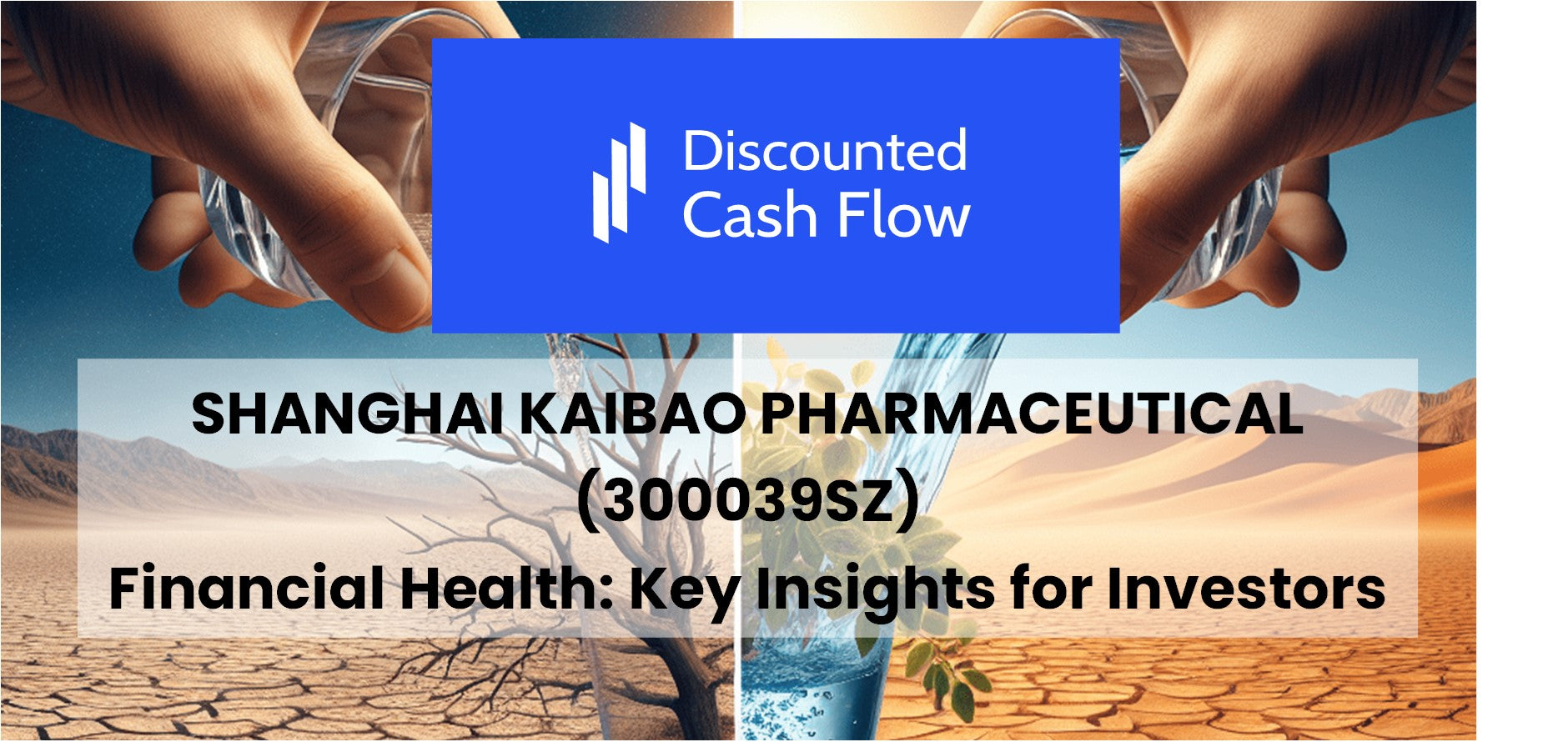 Breaking Down Shanghai Kaibao Pharmaceutical (300039SZ) Financial ...