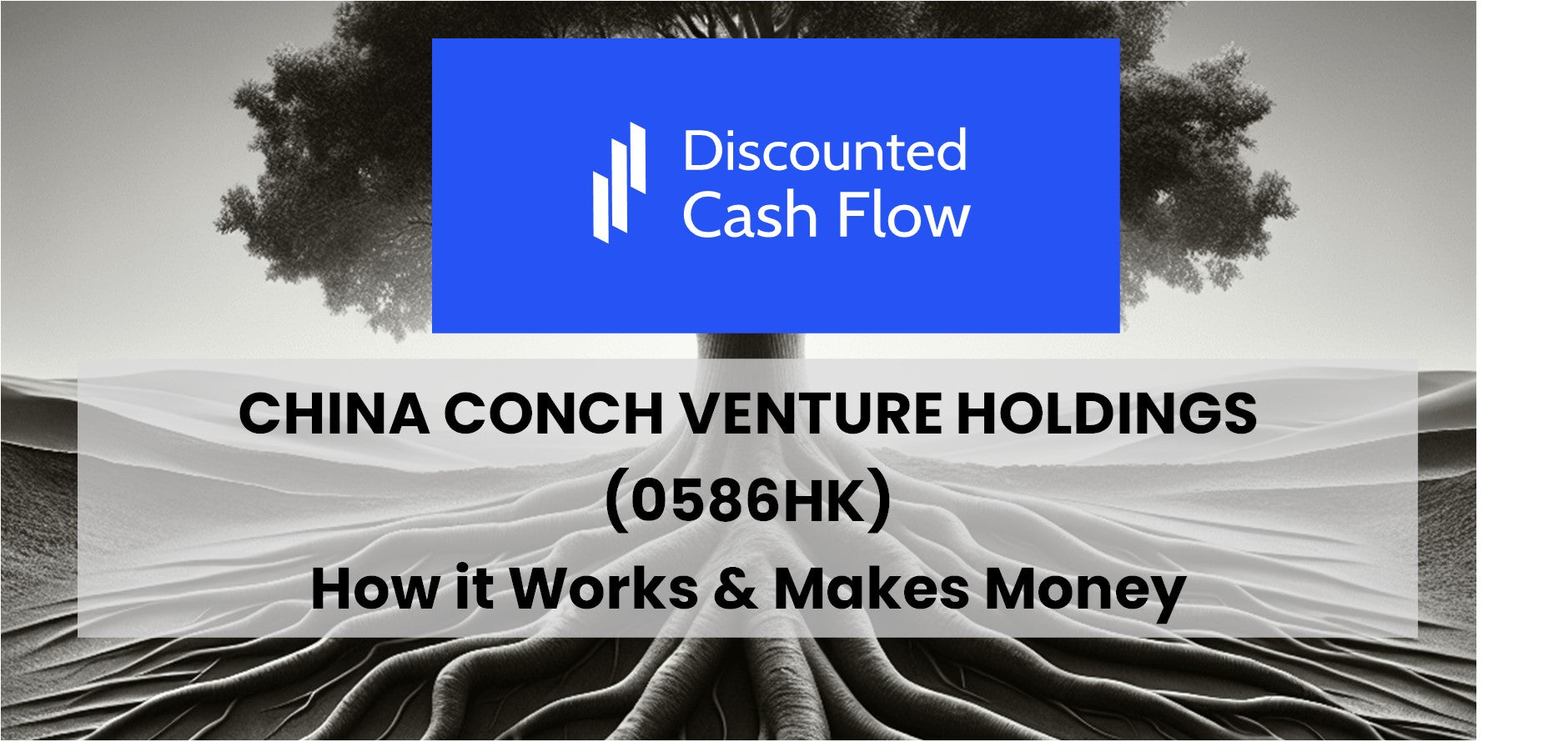 China Conch Venture Holdings (0586HK): history, ownership, mission, how ...