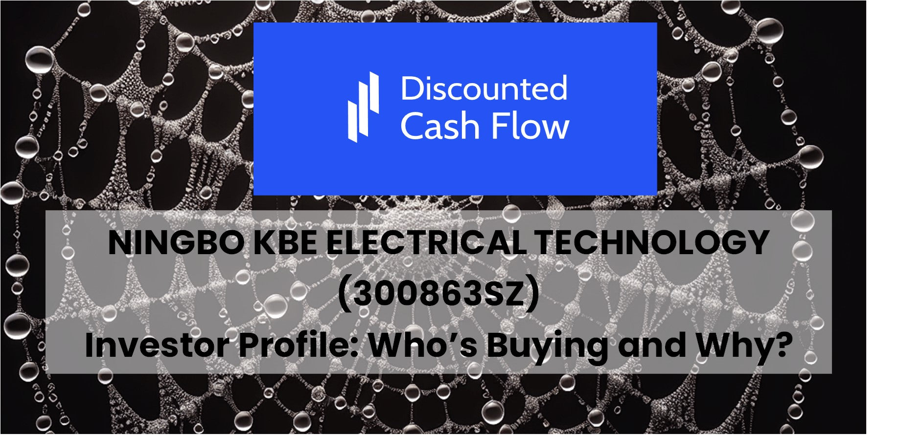 Exploring Ningbo KBE Electrical Technology (300863SZ): Who’s Buying and ...