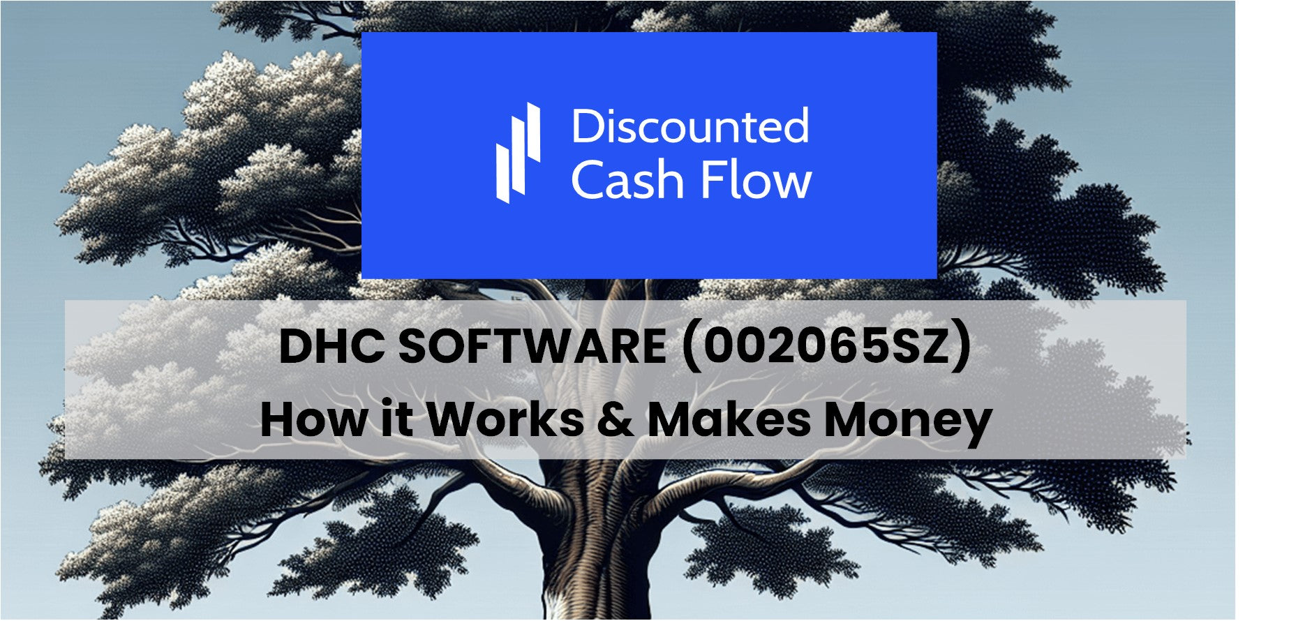 DHC Software (002065SZ): history, ownership, mission, how it works ...