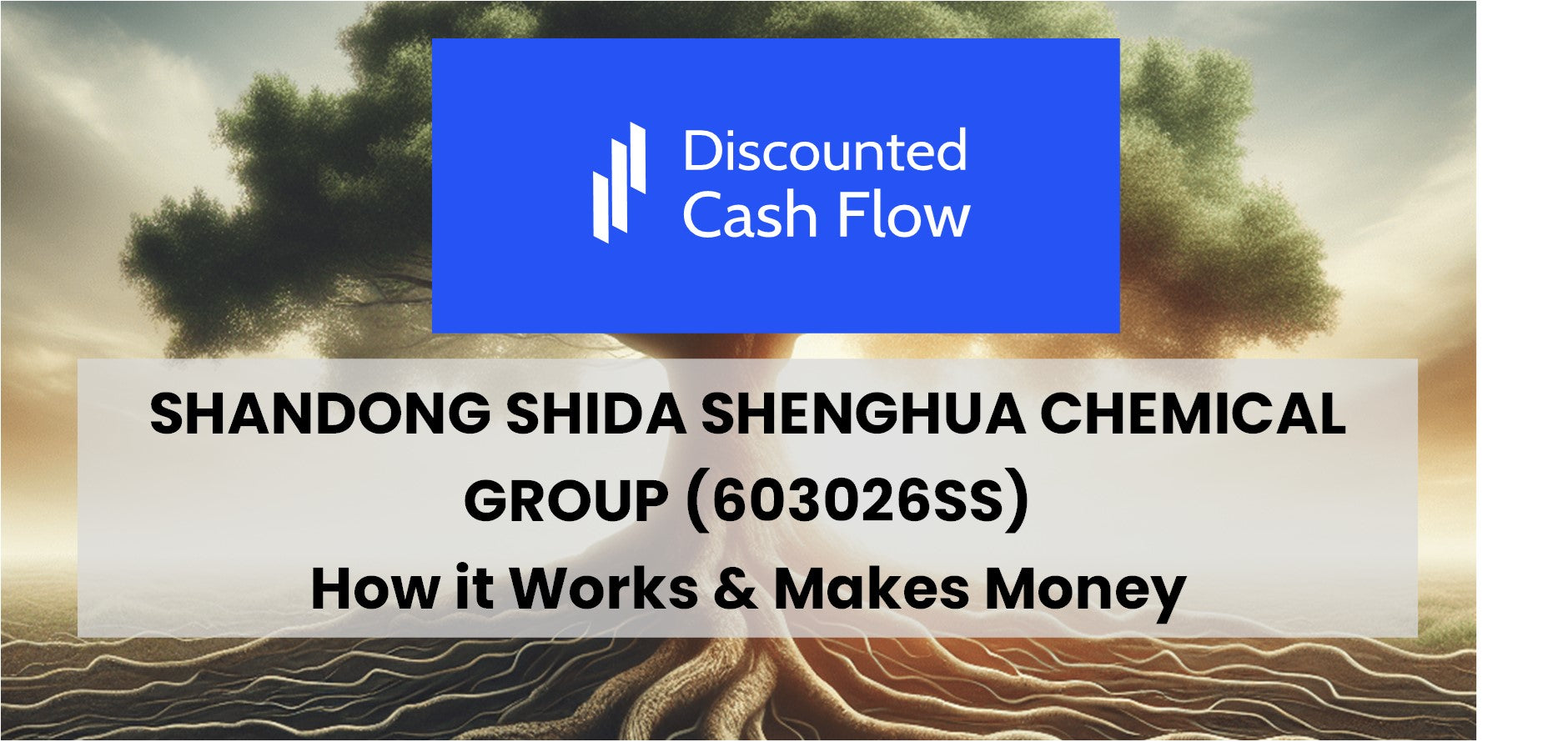 Shandong Shida Shenghua Chemical Group (603026SS): history, ownership ...