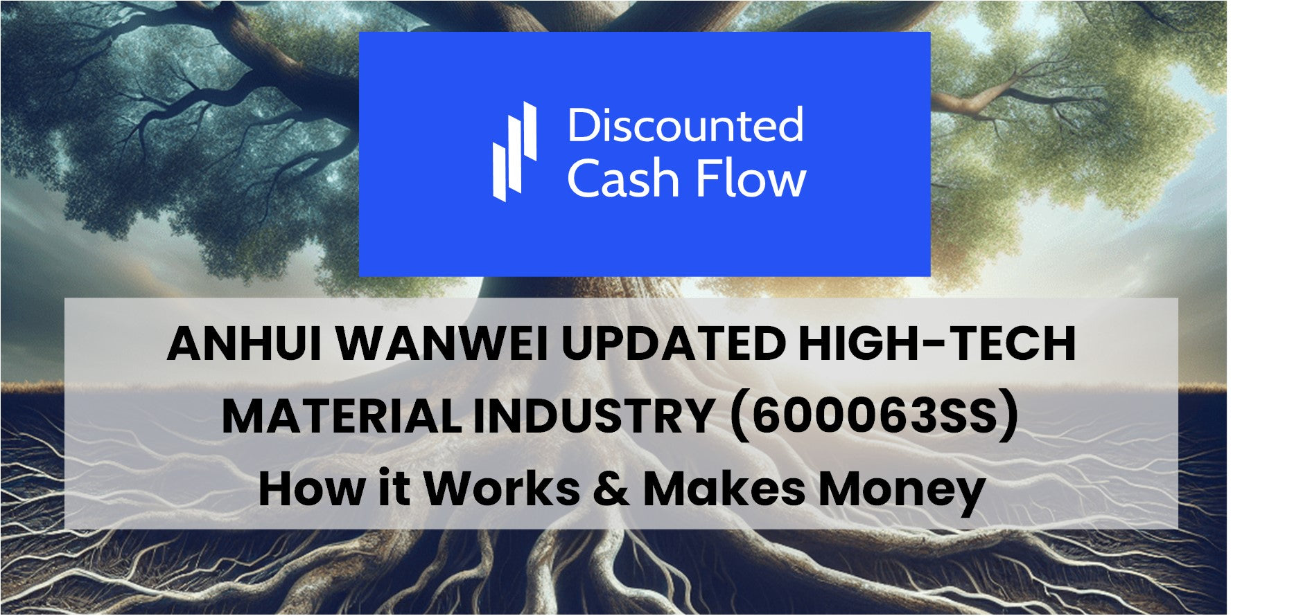 Anhui Wanwei Updated High-Tech Material Industry (600063SS): history ...
