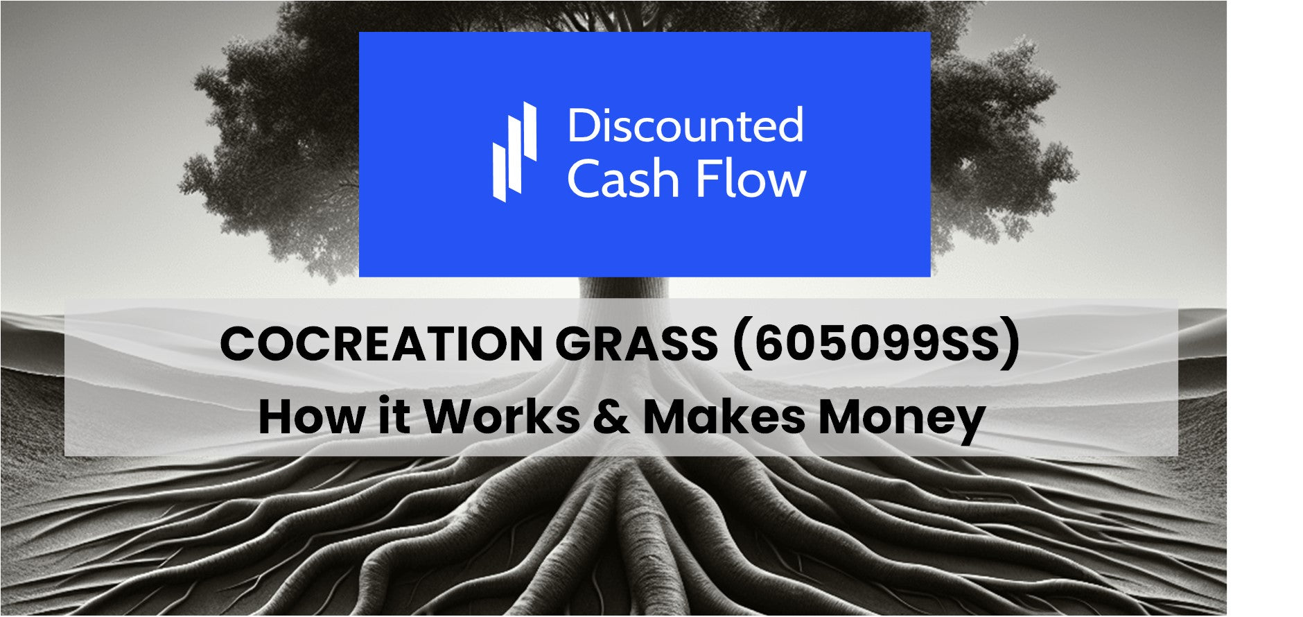 CoCreation Grass (605099SS): history, ownership, mission, how it works ...