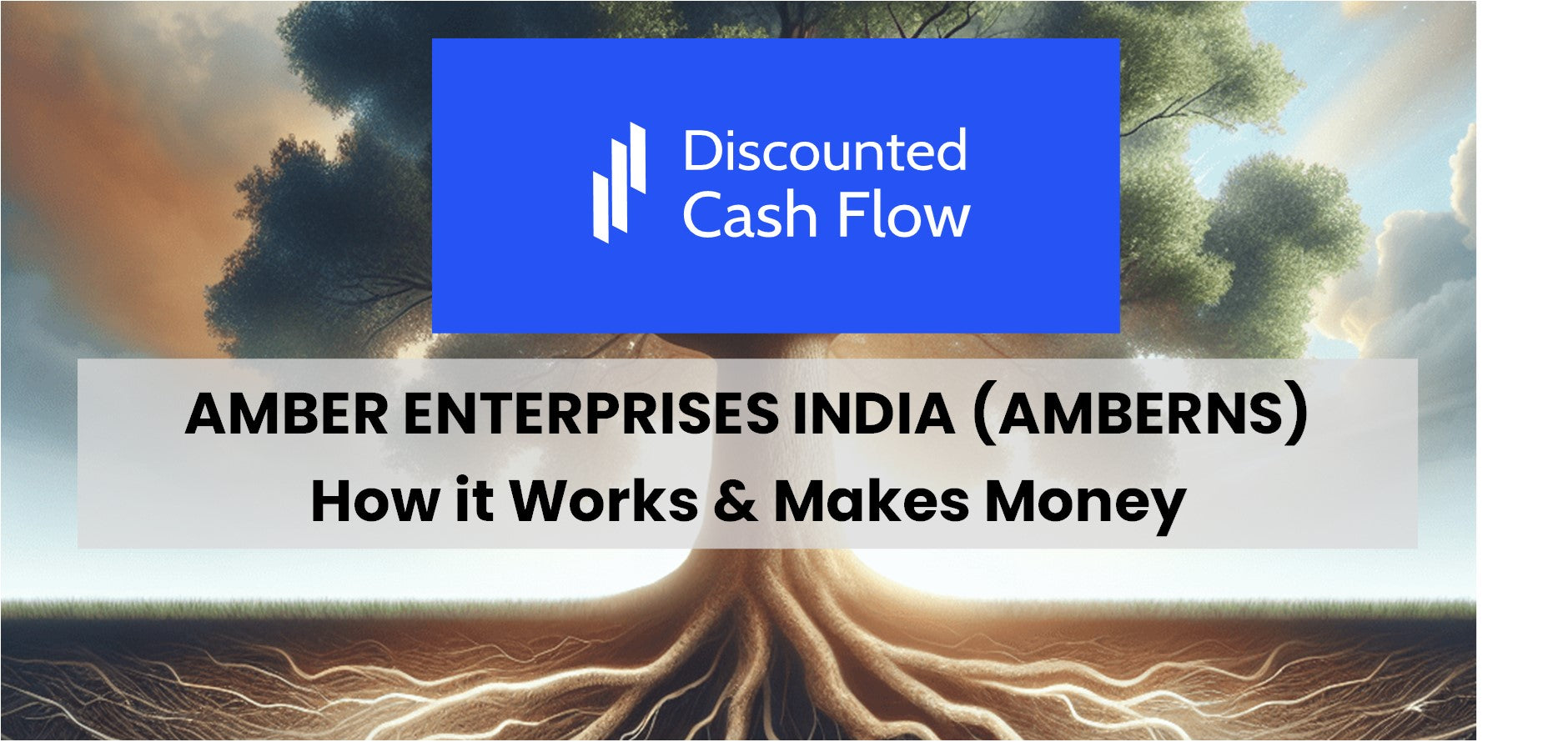 Amber Enterprises India (AMBERNS): history, ownership, mission, how it ...