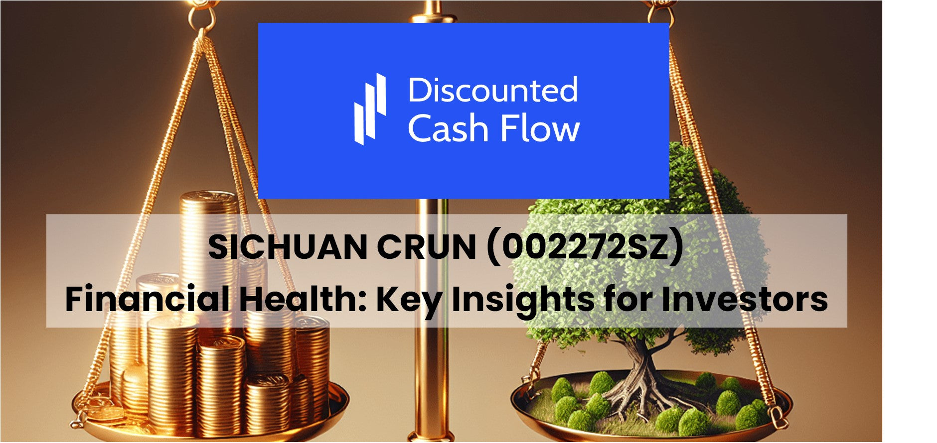 Breaking Down Sichuan Crun (002272SZ) Financial Health: Key Insights ...