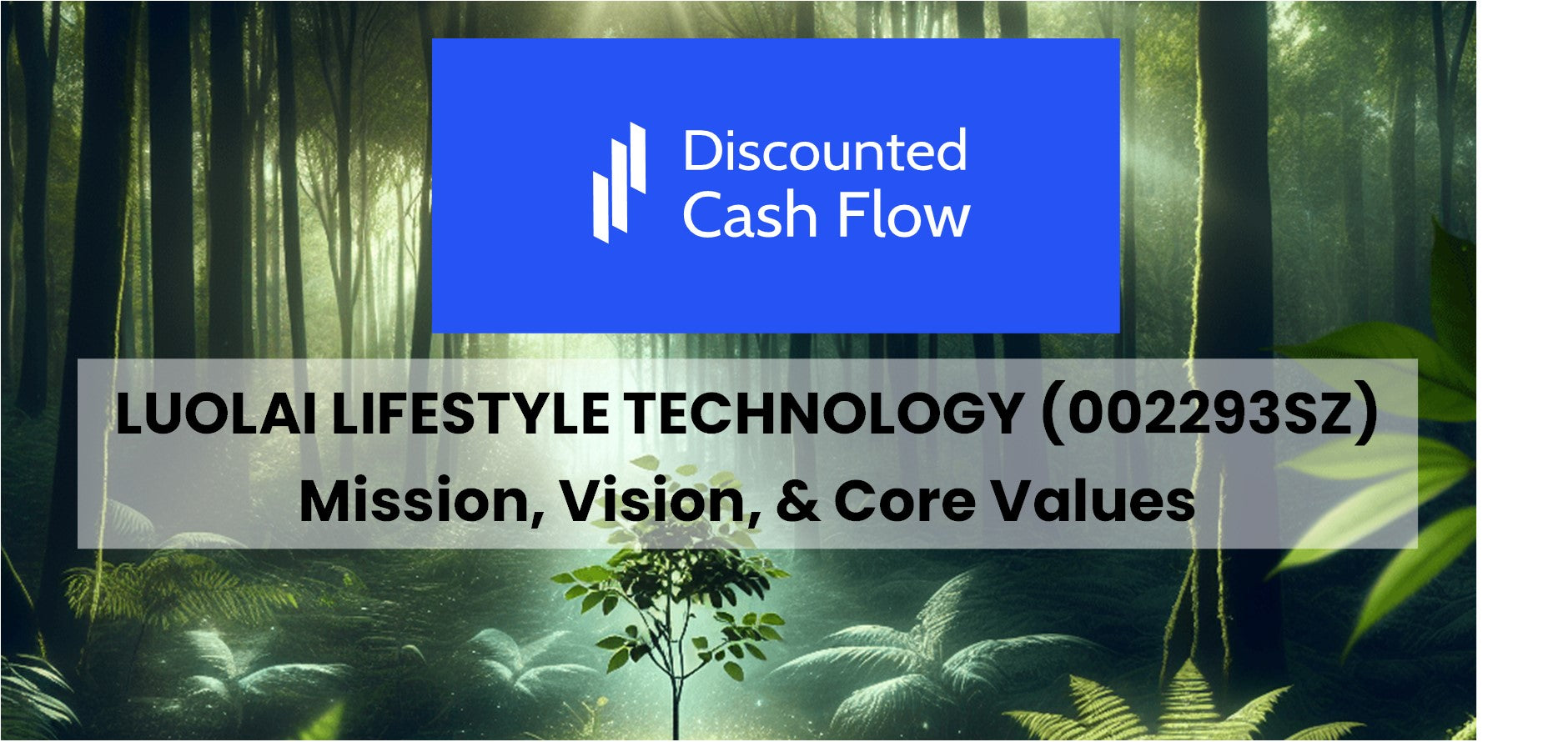 Mission Statement, Vision, & Core Values (2025) of Luolai Lifestyle ...