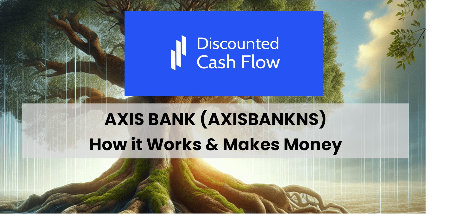 Axis Bank (AXISBANKNS): history, ownership, mission, how it works ...