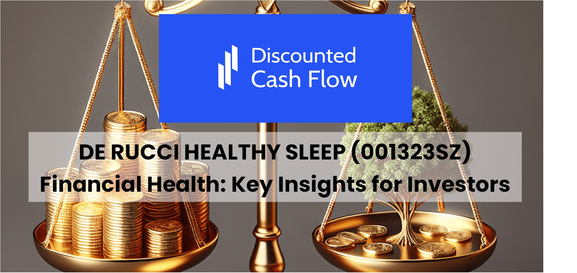 Breaking Down De Rucci Healthy Sleep (001323SZ) Financial Health: Key ...