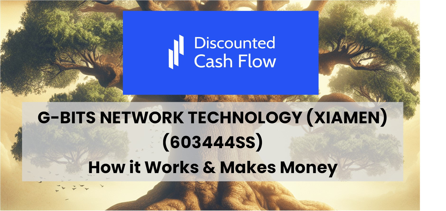 G-bits Network Technology (Xiamen) (603444SS): history, ownership ...