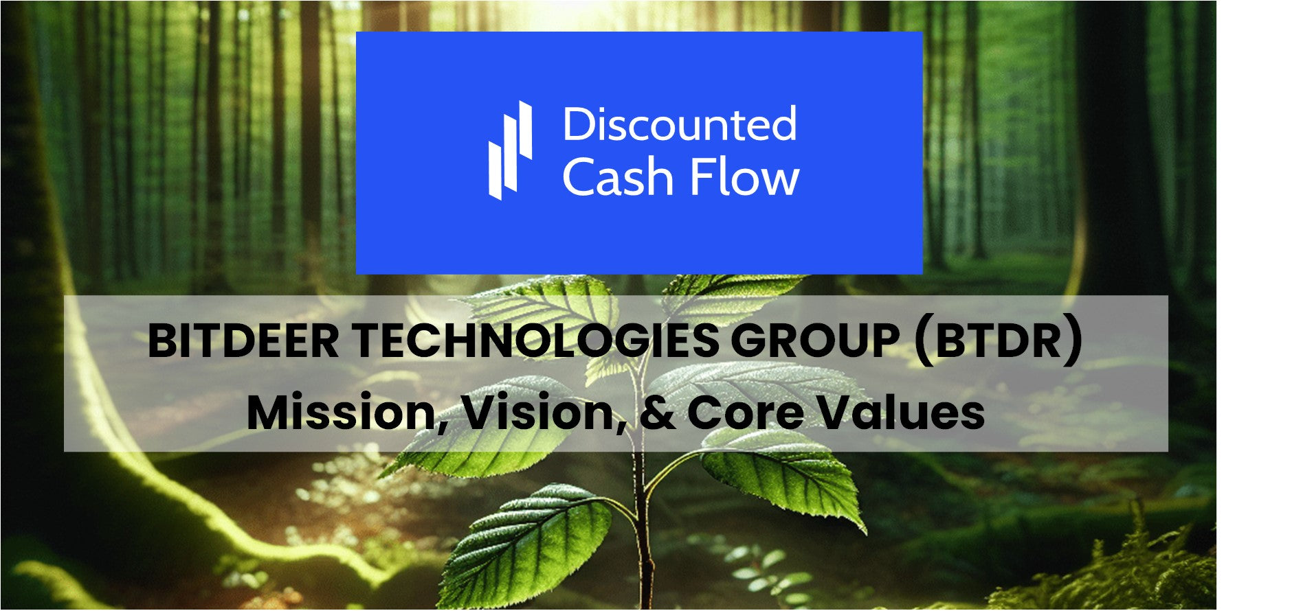 Mission Statement, Vision, & Core Values (2025) of Bitdeer Technologies ...