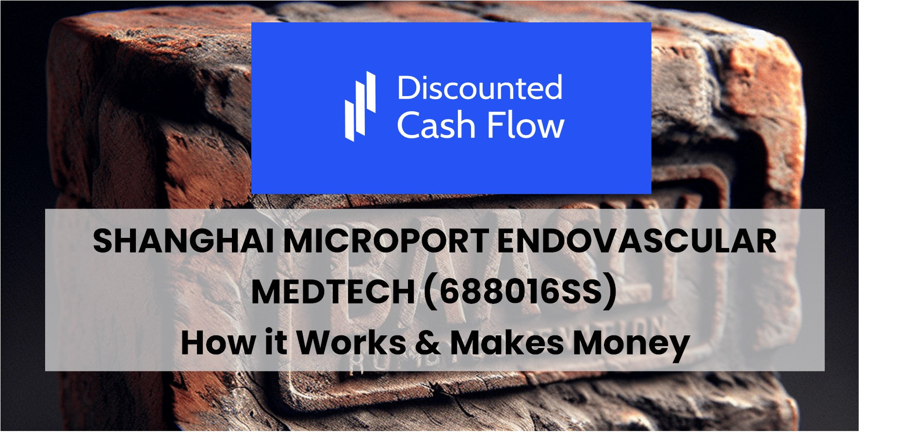 Shanghai MicroPort Endovascular MedTech (688016SS): history, ownership ...