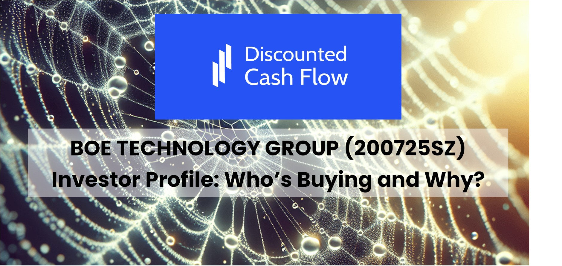 Exploring BOE Technology Group (200725SZ): Who’s Buying and Why ...