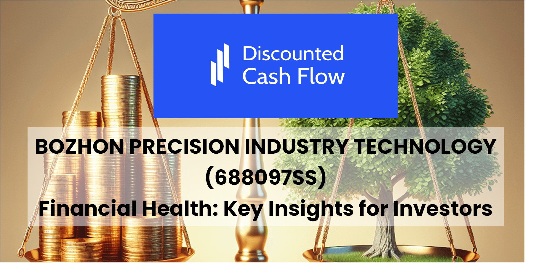 Breaking Down BOZHON Precision Industry Technology (688097SS) Financial ...