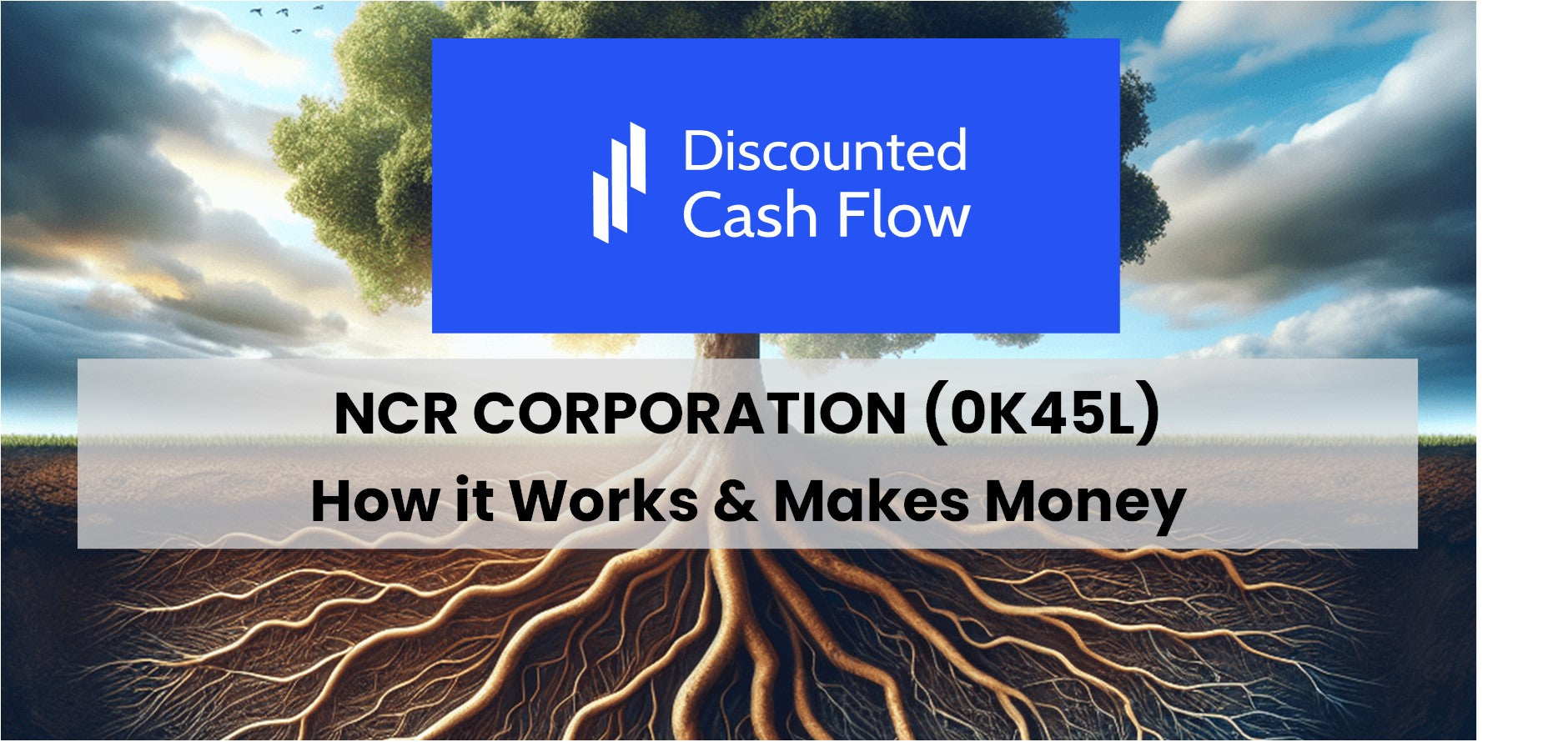 NCR Corporation (0K45L): history, ownership, mission, how it works ...