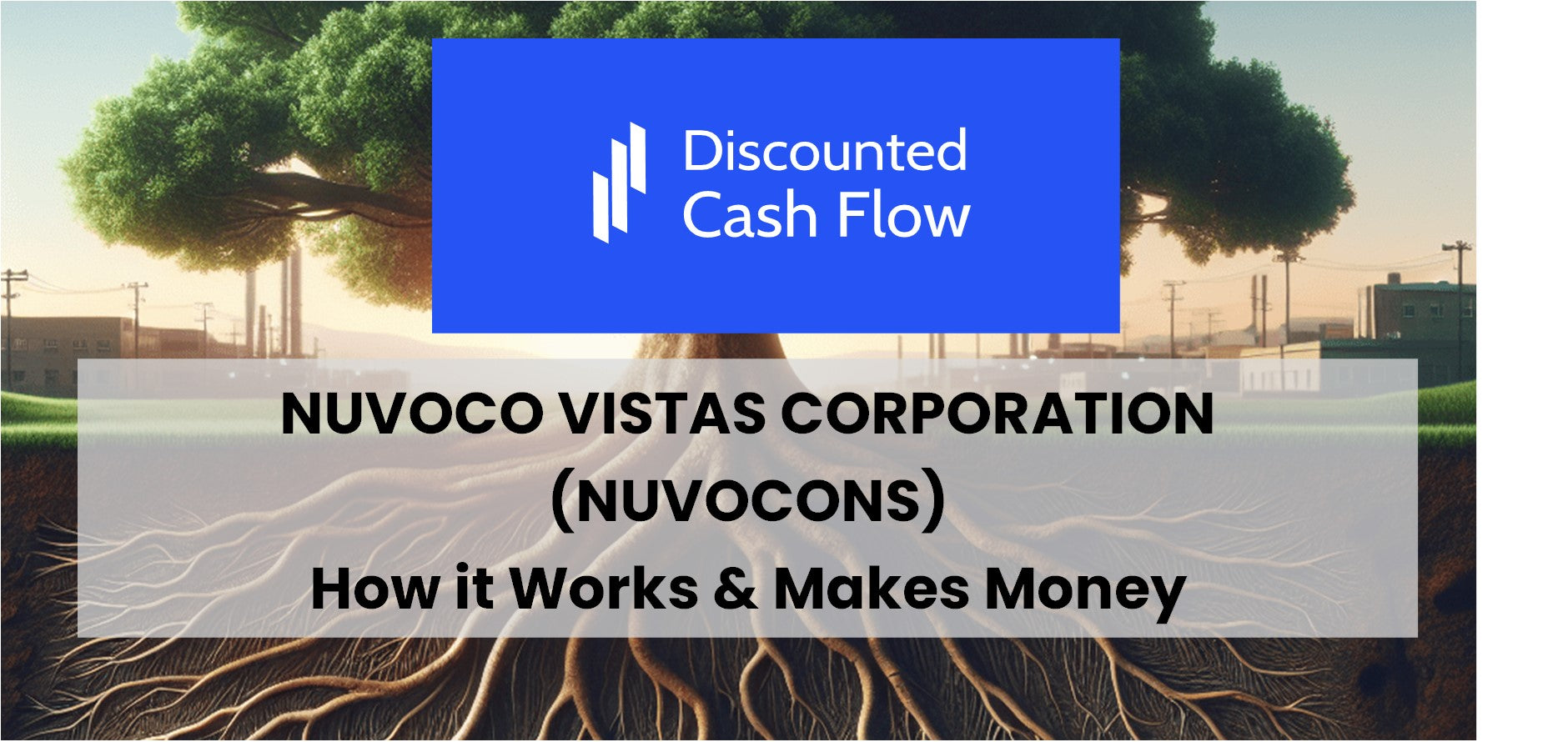 Nuvoco Vistas Corporation (NUVOCONS): history, ownership, mission, how ...