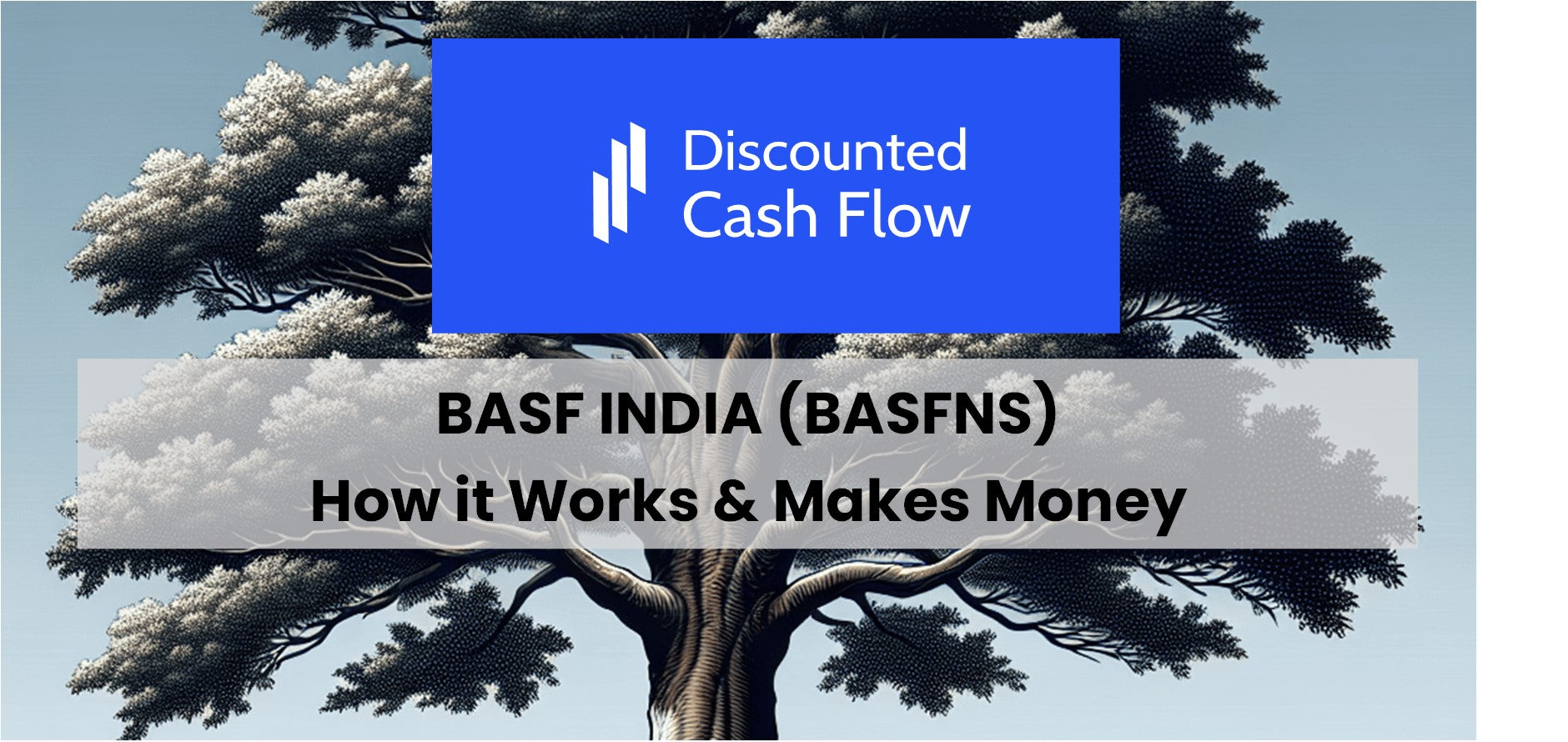 BASF India (BASFNS): history, ownership, mission, how it works & makes ...