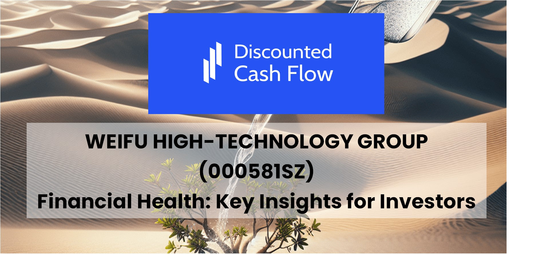Breaking Down Weifu High-Technology Group (000581SZ) Financial Health ...