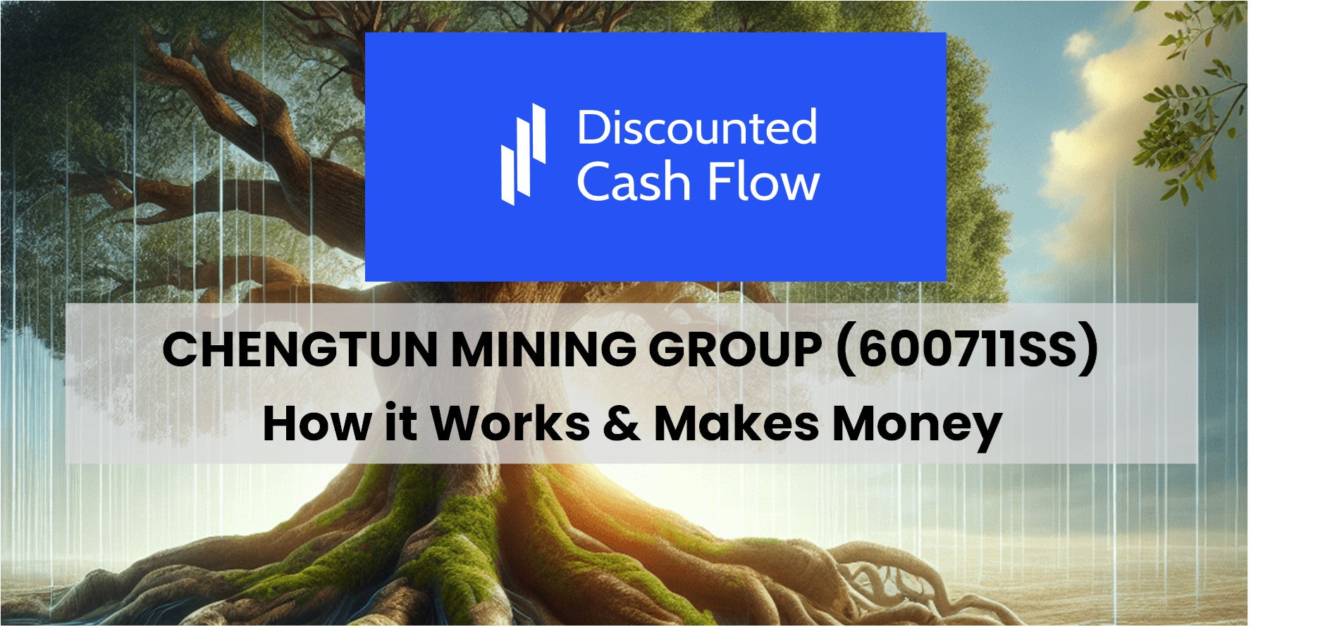 Chengtun Mining Group (600711SS): history, ownership, mission, how it ...