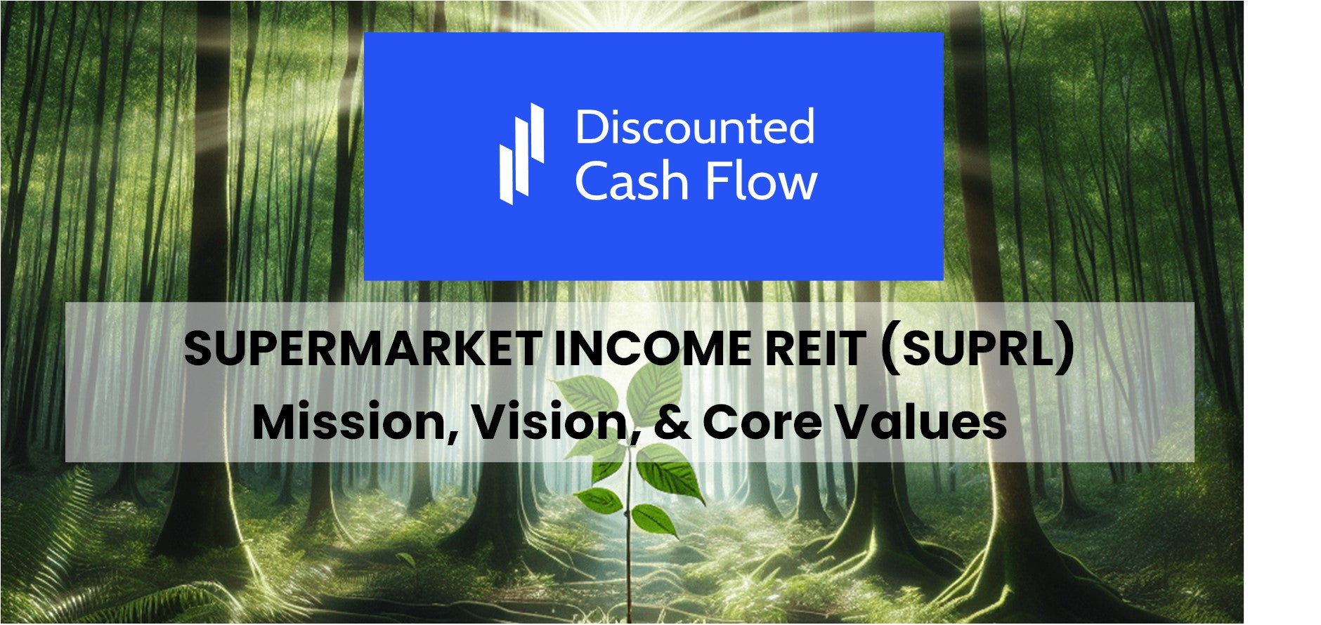 Mission Statement, Vision, & Core Values (2025) of Supermarket Income ...