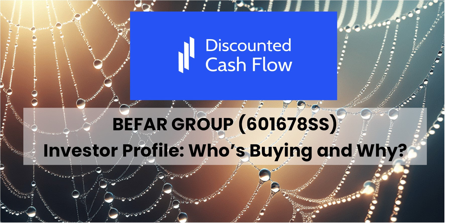 Exploring Befar Group (601678SS): Who’s Buying and Why? – DCFmodeling.com