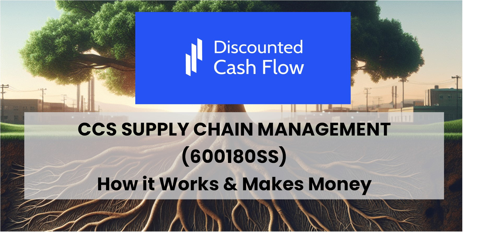 CCS Supply Chain Management (600180SS): history, ownership, mission ...