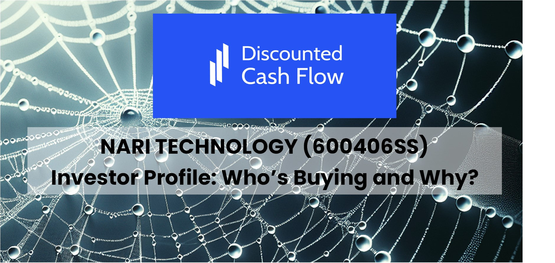 Exploring NARI Technology (600406SS): Who’s Buying and Why ...