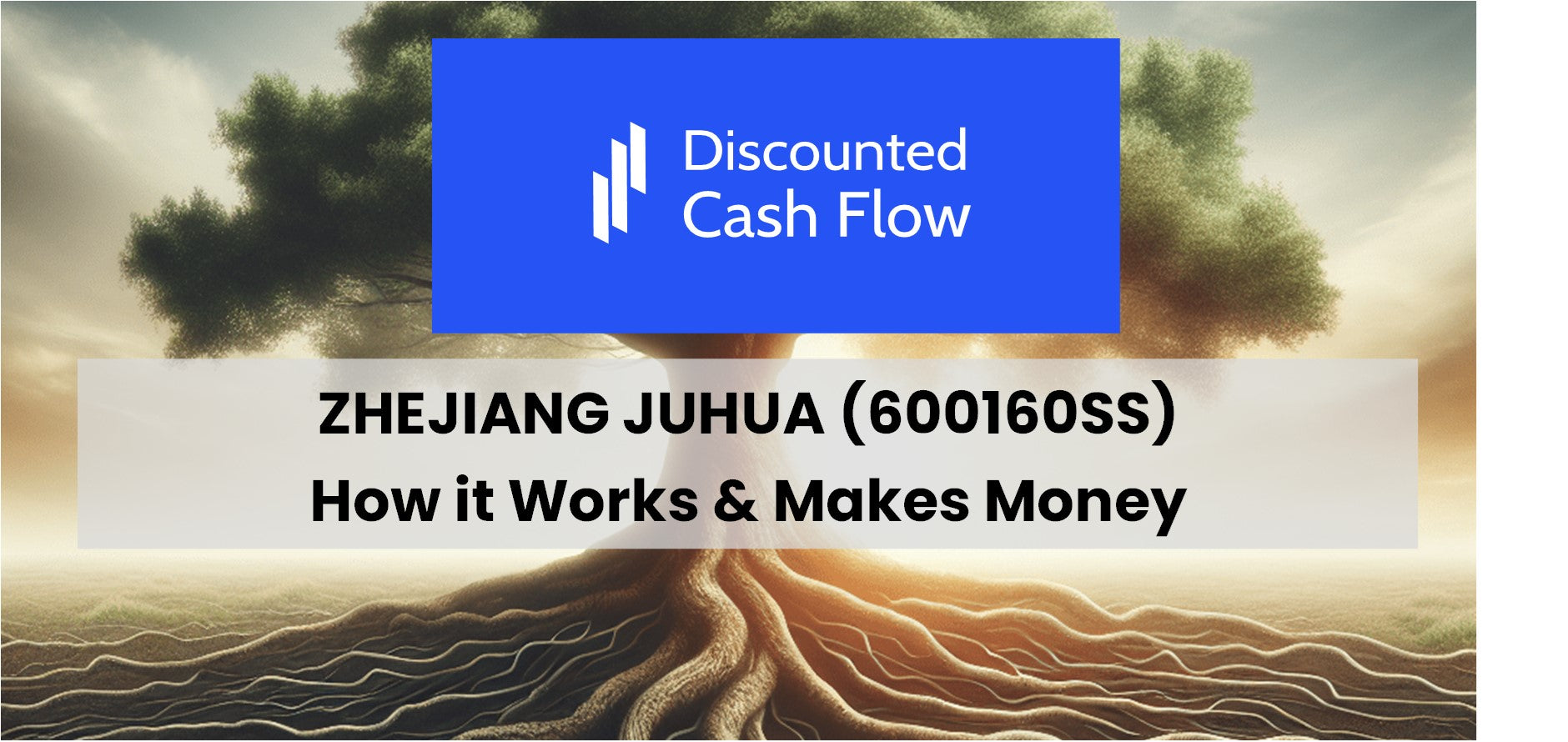 Zhejiang Juhua (600160SS): history, ownership, mission, how it works ...
