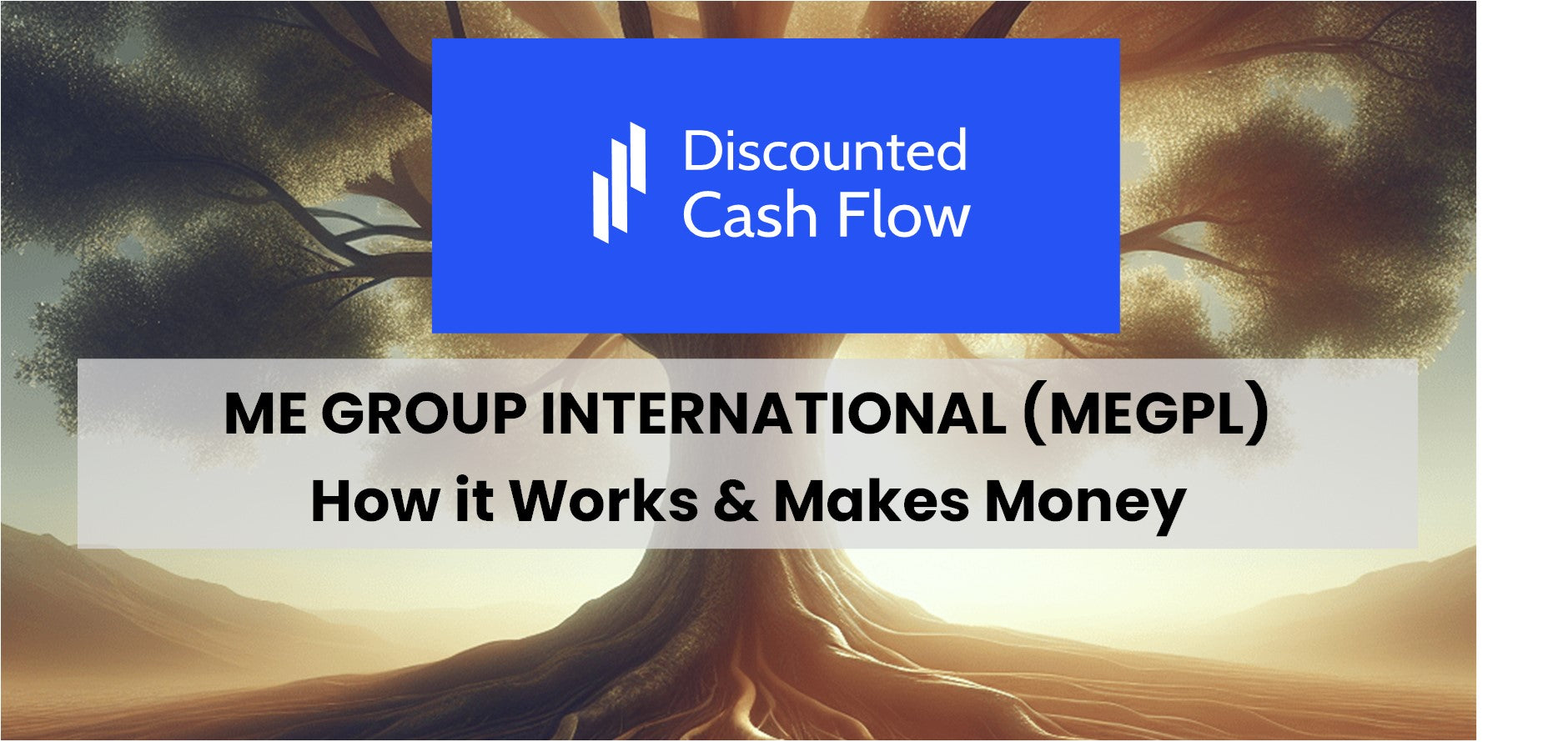 ME Group International (MEGPL): history, ownership, mission, how it ...