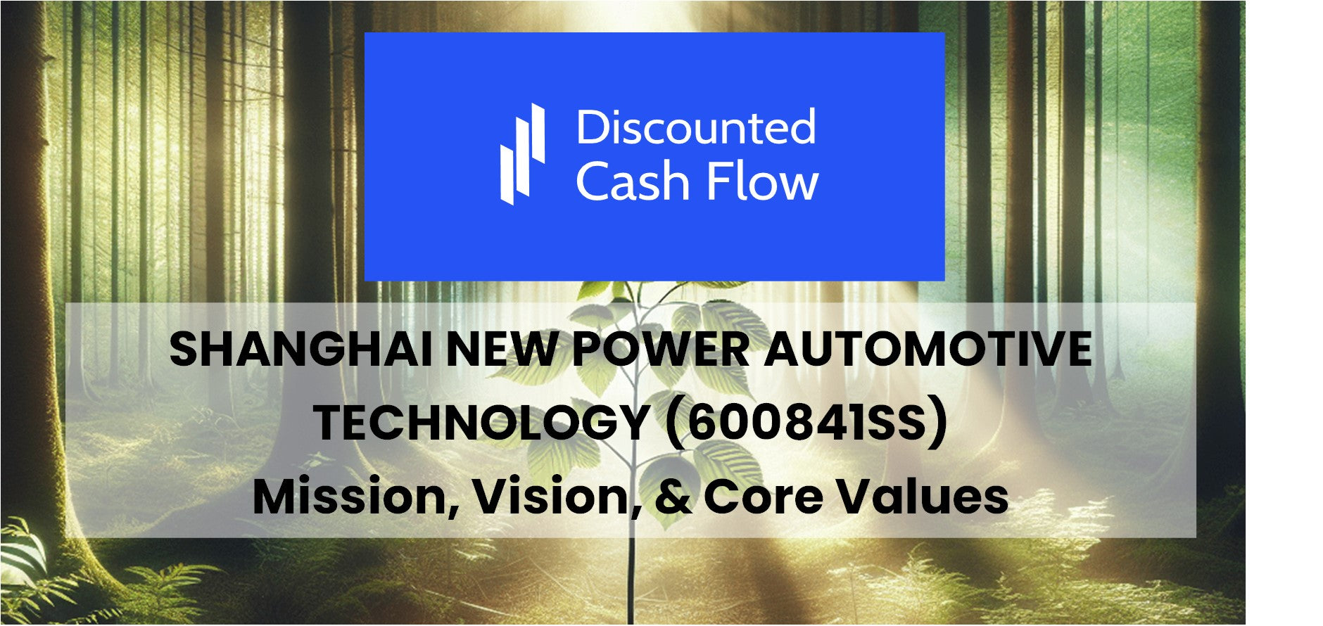 Mission Statement, Vision, & Core Values (2025) of Shanghai New Power ...