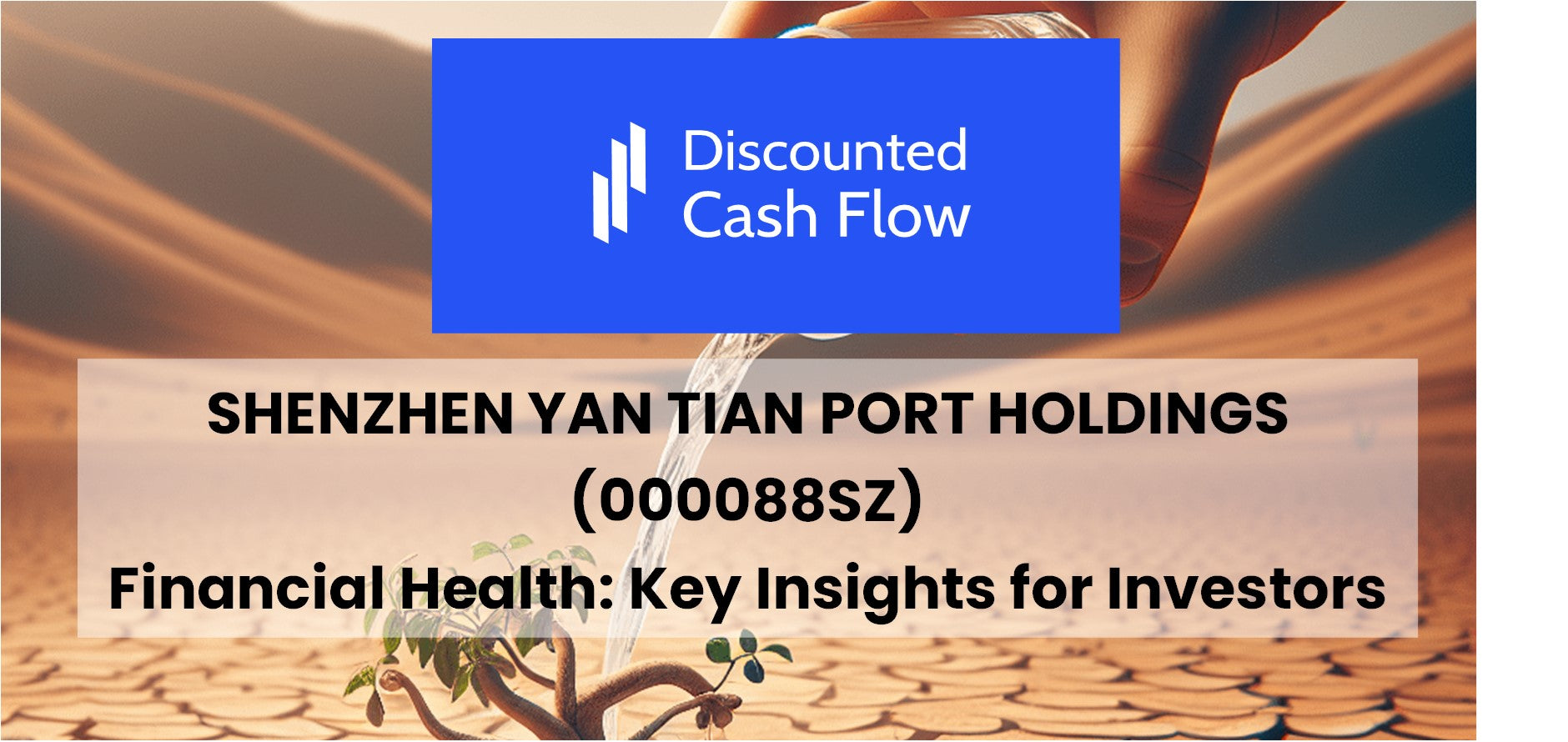Breaking Down Shenzhen Yan Tian Port Holdings (000088SZ) Financial ...