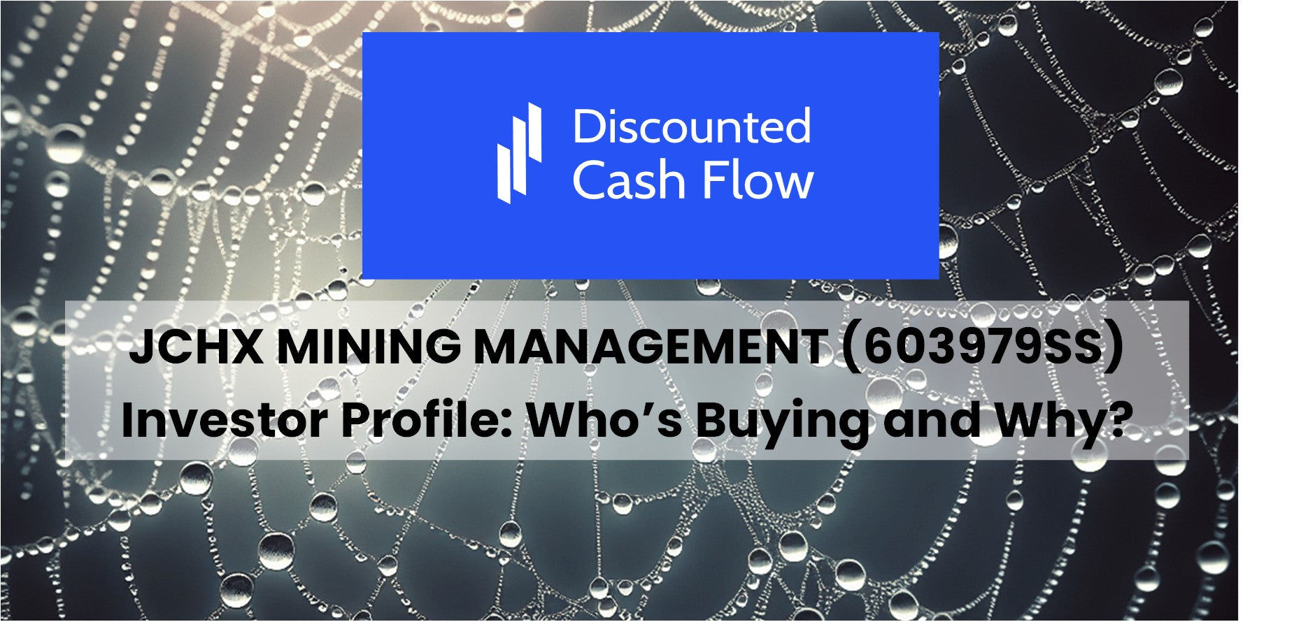 Exploring JCHX Mining Management (603979SS): Who’s Buying and Why ...