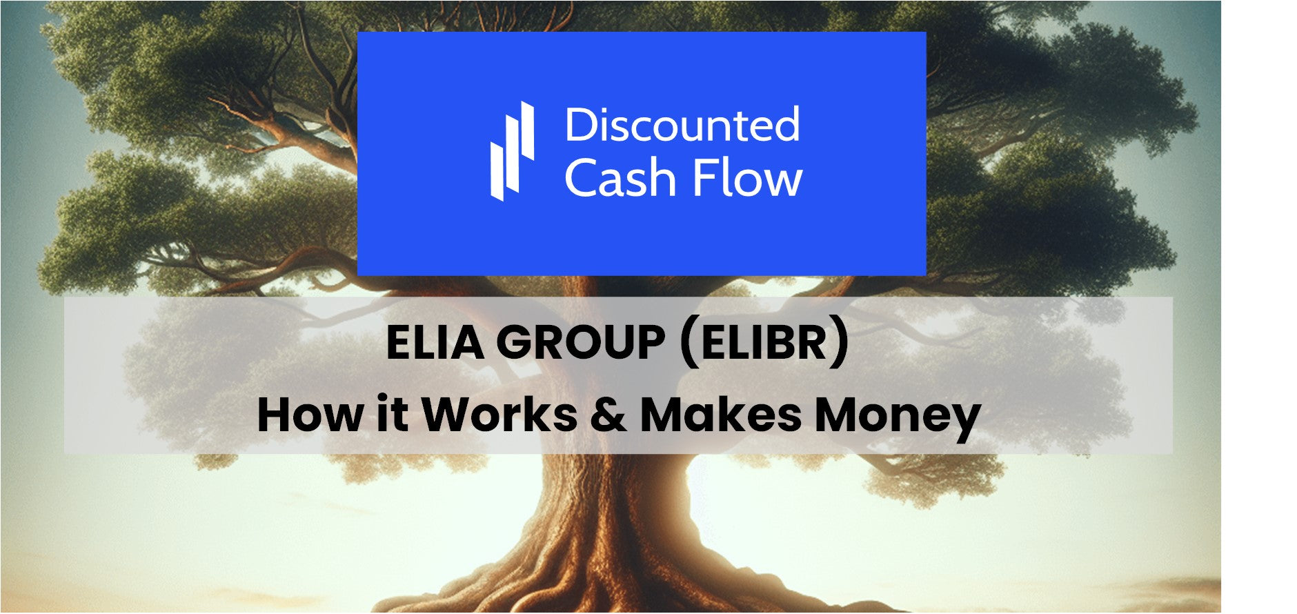 Elia Group (ELIBR): history, ownership, mission, how it works & makes money – DCFmodeling.com