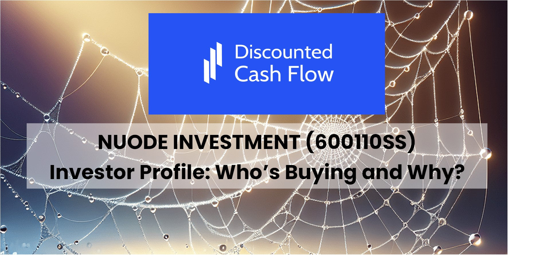 Exploring Nuode Investment (600110SS): Who’s Buying and Why ...