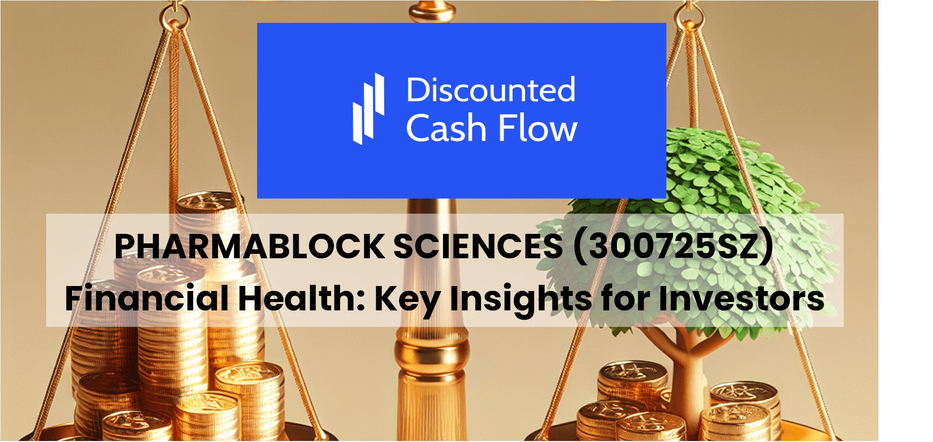 Breaking Down PharmaBlock Sciences (300725SZ) Financial Health: Key ...