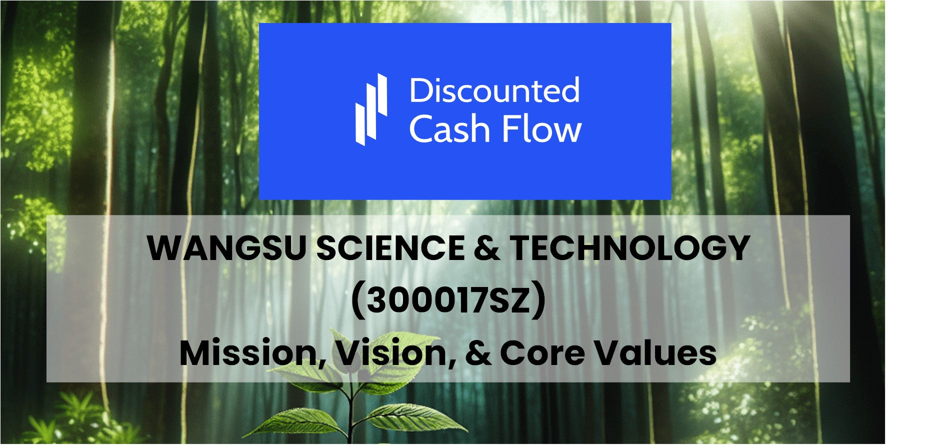 Mission Statement, Vision, & Core Values (2025) of Wangsu Science ...