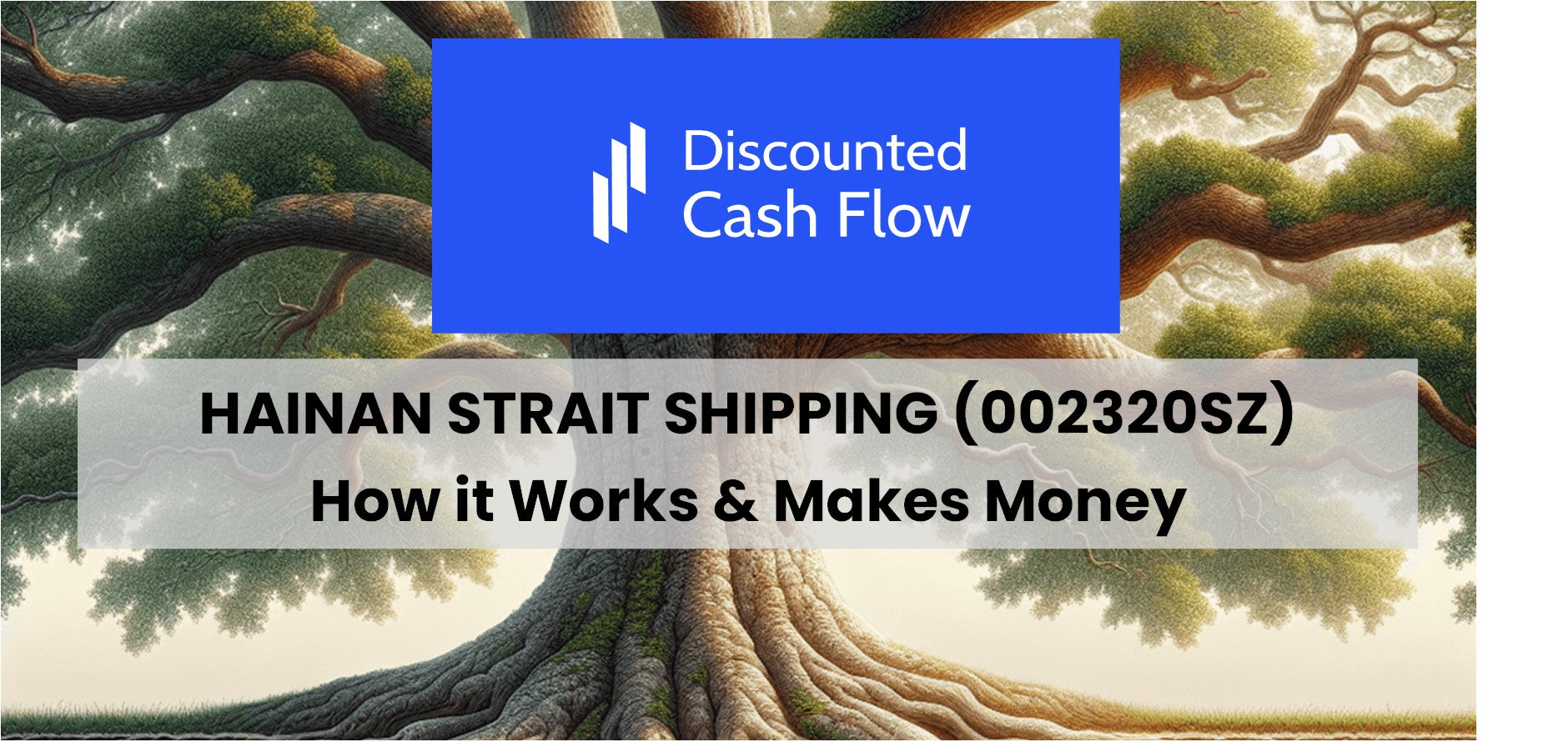 Hainan Strait Shipping (002320SZ): history, ownership, mission, how it ...