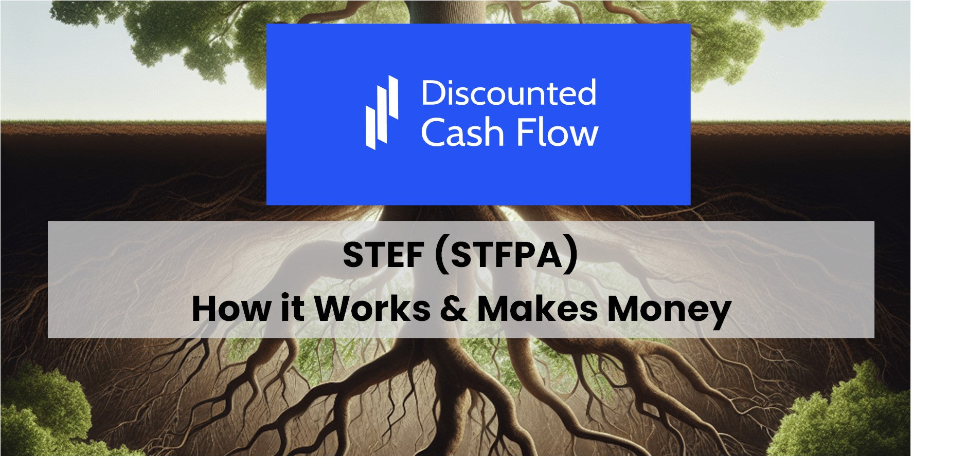 STEF (STFPA): history, ownership, mission, how it works & makes money ...