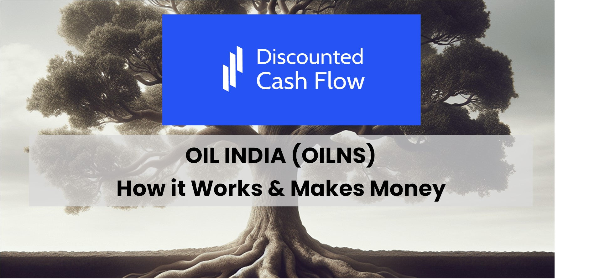Oil India (OILNS): history, ownership, mission, how it works & makes ...