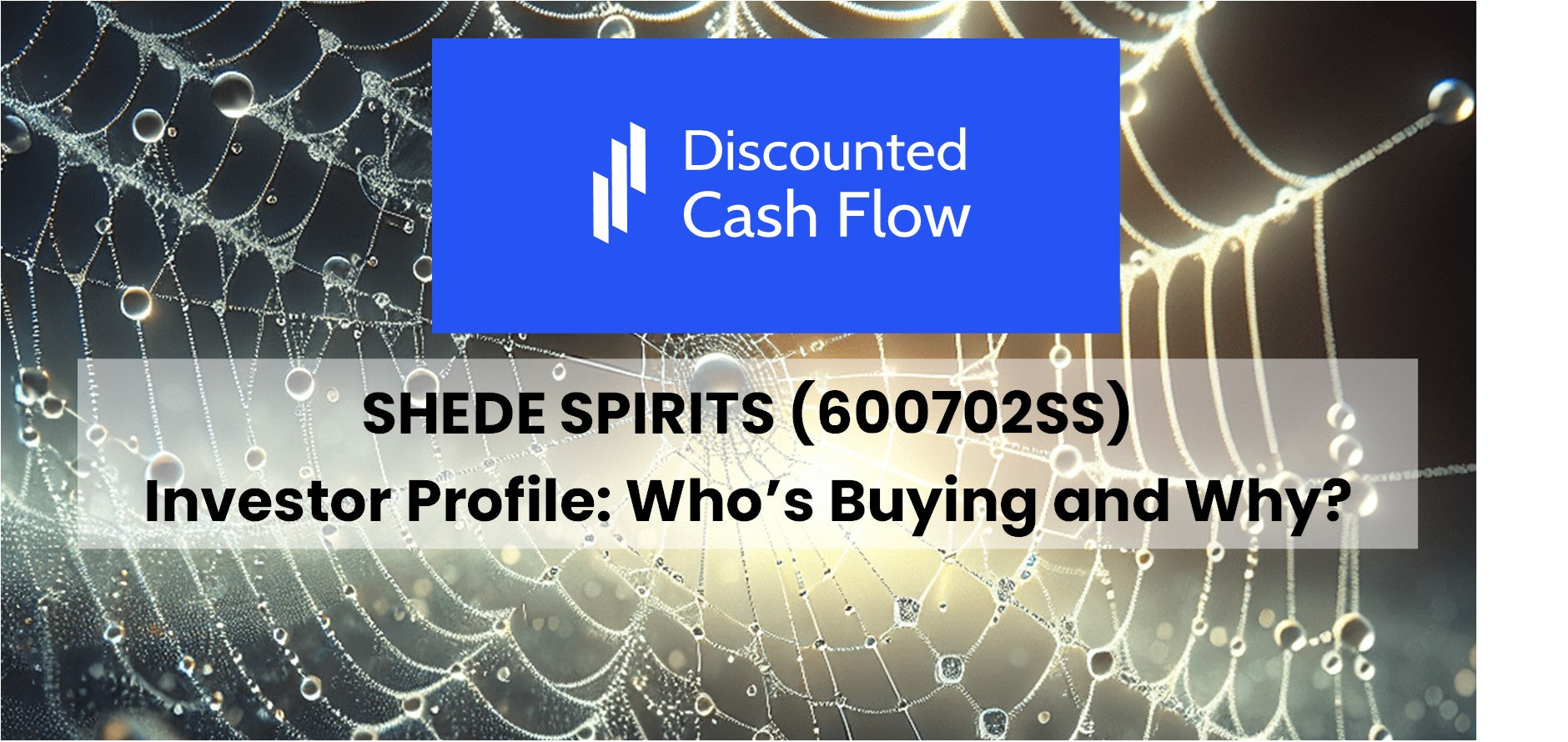Exploring Shede Spirits (600702SS): Who’s Buying and Why? – DCFmodeling.com