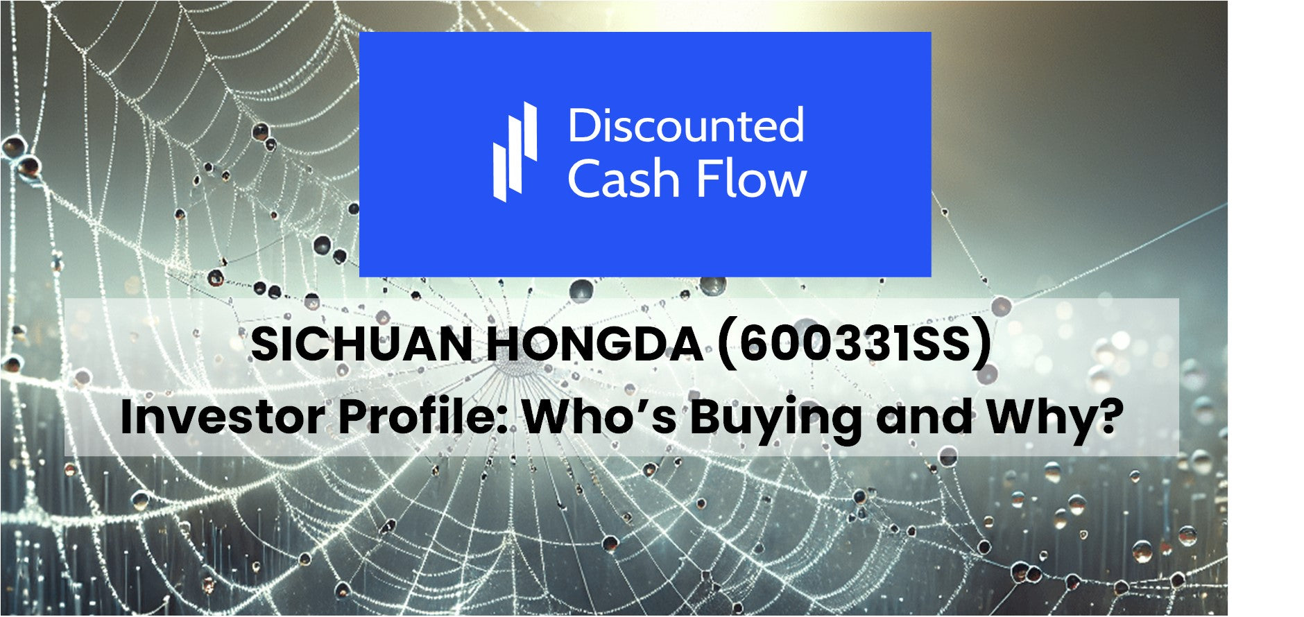 Exploring Sichuan Hongda (600331SS): Who’s Buying and Why ...