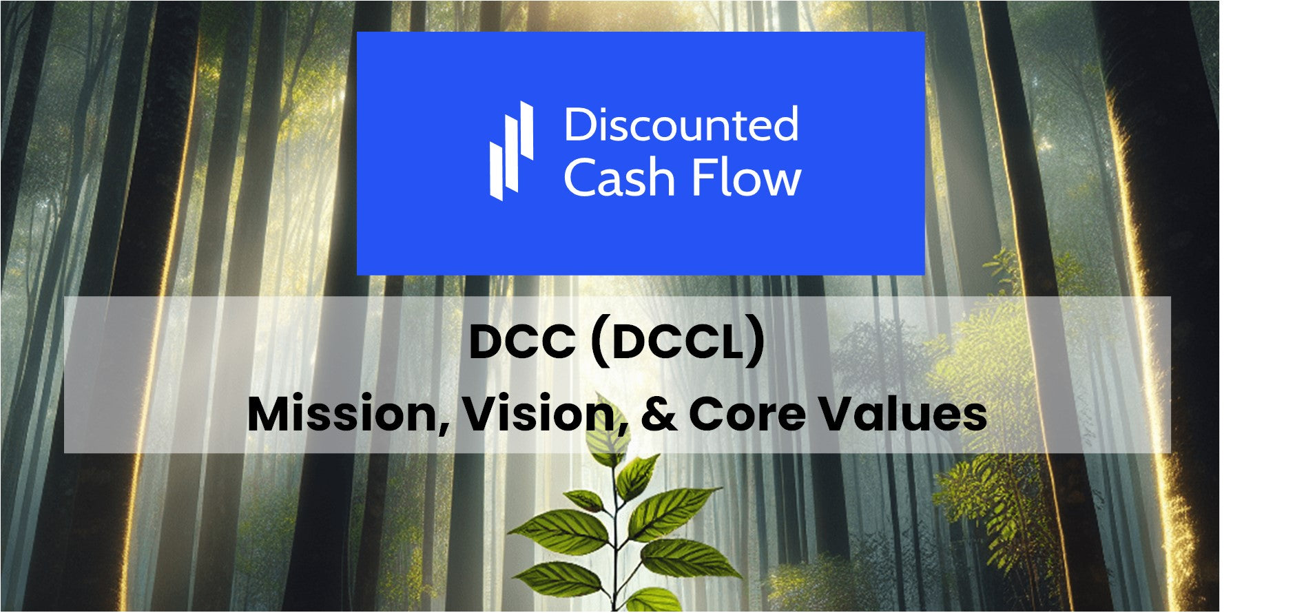 Mission Statement, Vision, & Core Values (2025) of DCC (DCCL) – DCFmodeling.com
