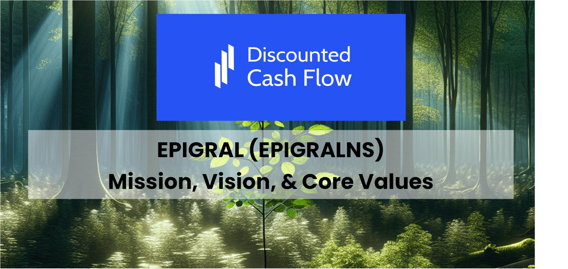 Mission Statement, Vision, & Core Values (2025) of Epigral (EPIGRALNS ...
